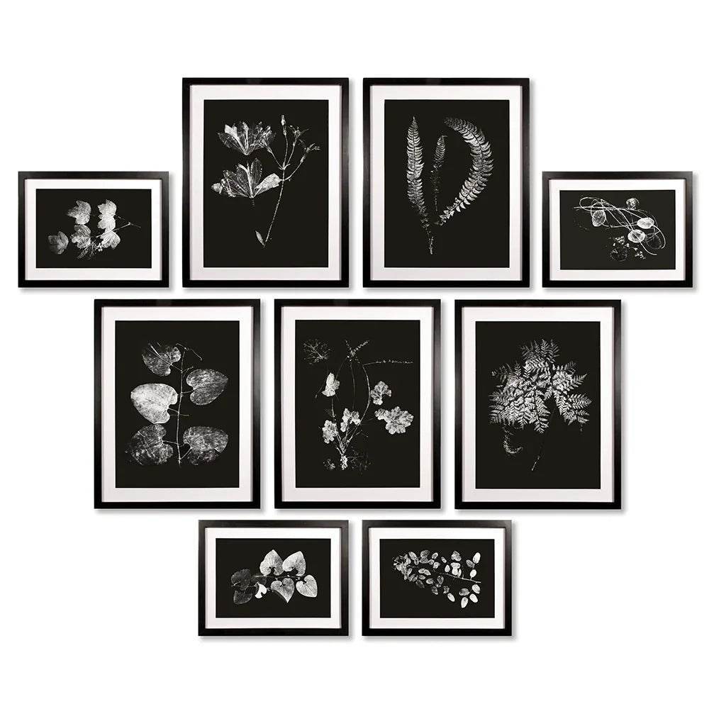 Framed Leaf Wall Art - Set of 9 Botanical Prints | Delamere Design